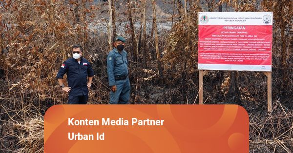 Sebabkan Karhutla, KLHK Segel Lahan Perusahaan Sawit Milik Asing di OKI | kumparan.com